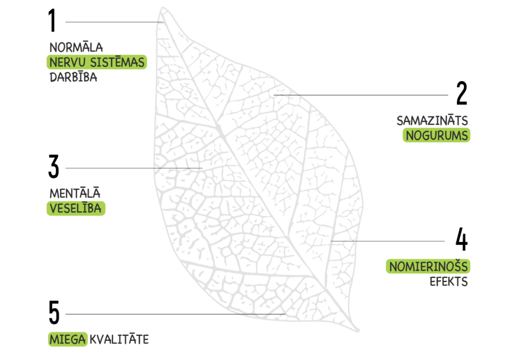 Stressnol, 60 kapsulas - Avemed.lv